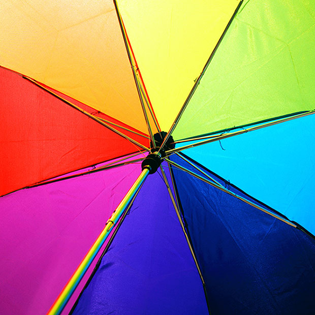 Being Colorblind Can Mean Different Things – Bolivar MO | Vision Source ...